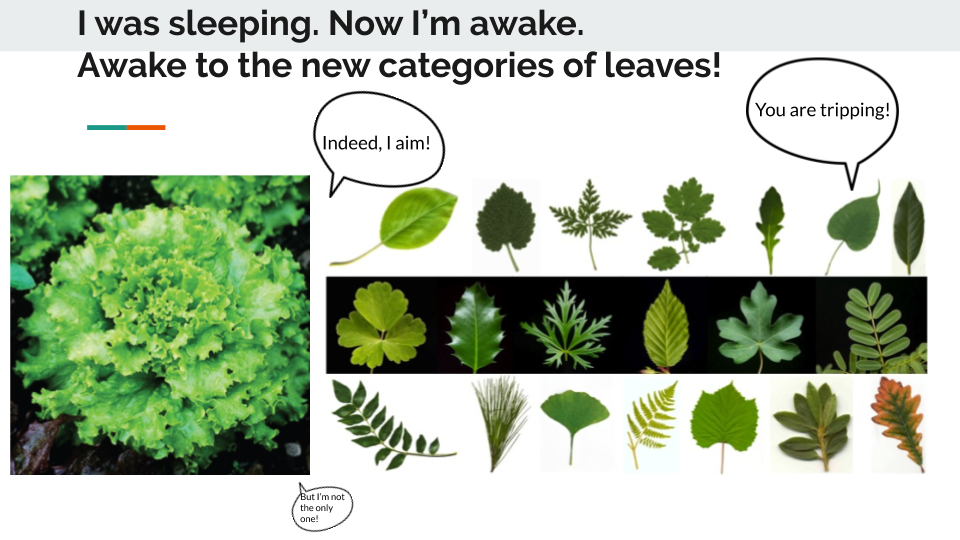 Hyperbolic Geometry of DMT Experiences copy 9 | Qualia Computing