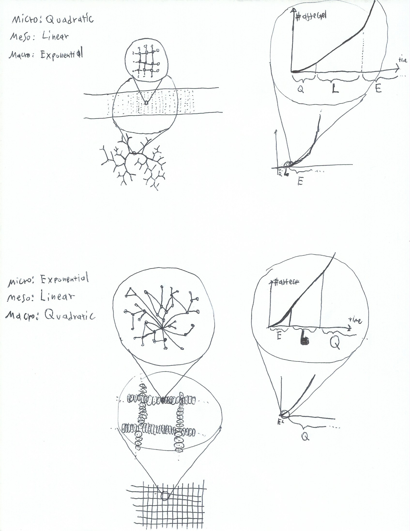 QLE_ELQ | Qualia Computing